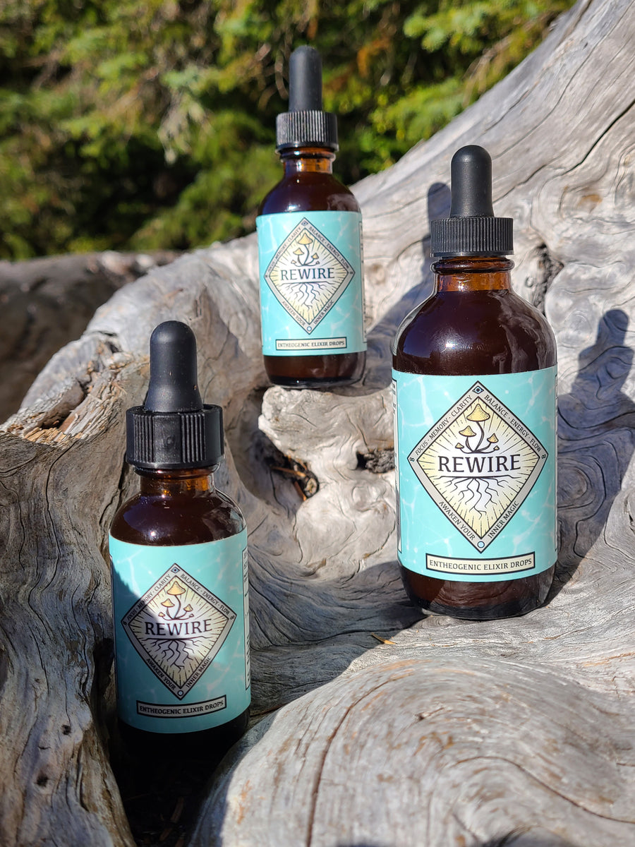 REWIRE ENTHEOGENIC ELIXIR DROPS – CREATURES OF THE SUN